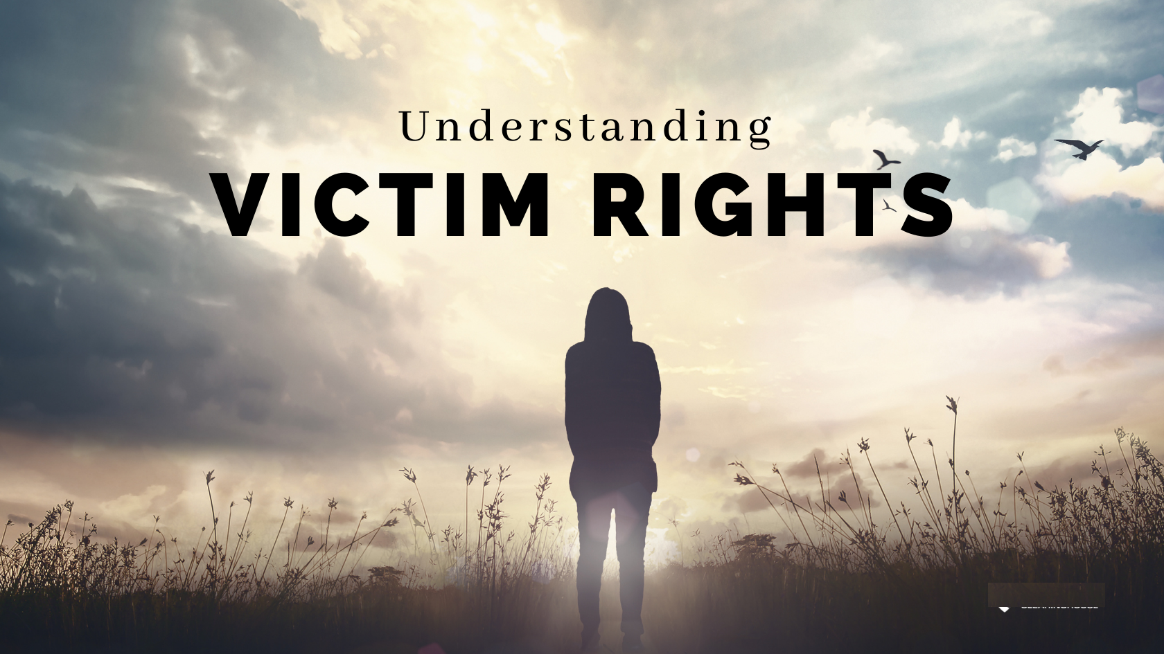 victimRights – Advocates Chamber